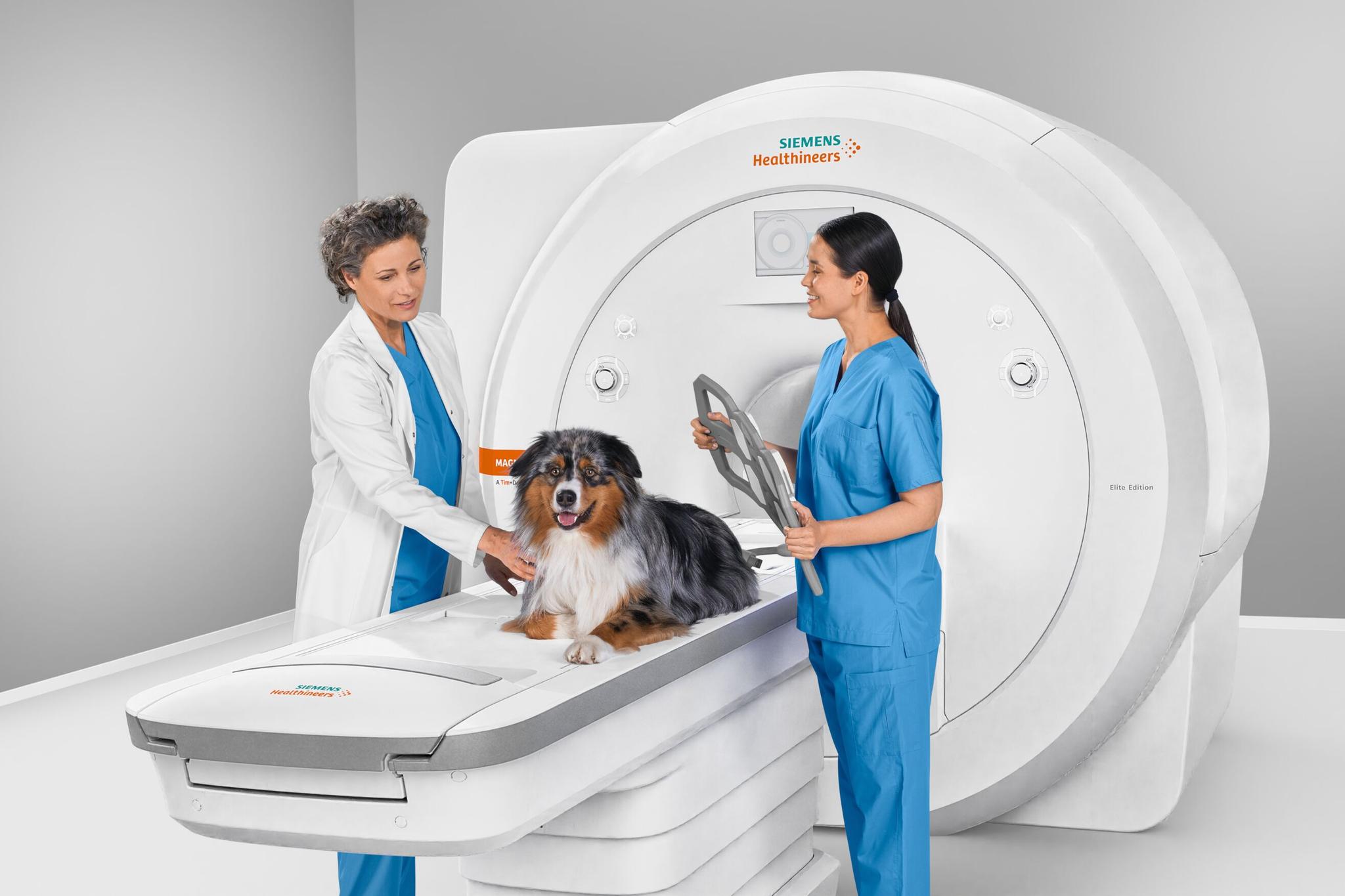 MAGNETOM Flow.Ace - Siemens Healthineers USA