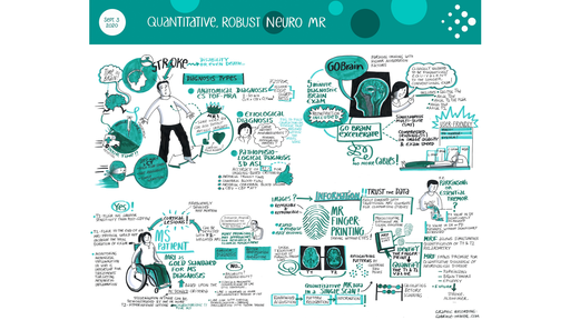 Quantitative, Robust Neuro MRI