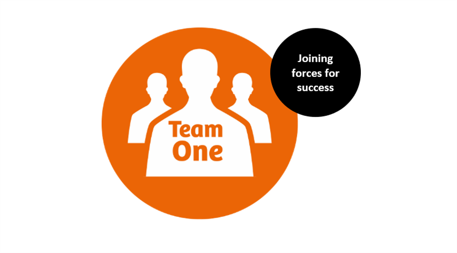 Team One - Partner Development Program