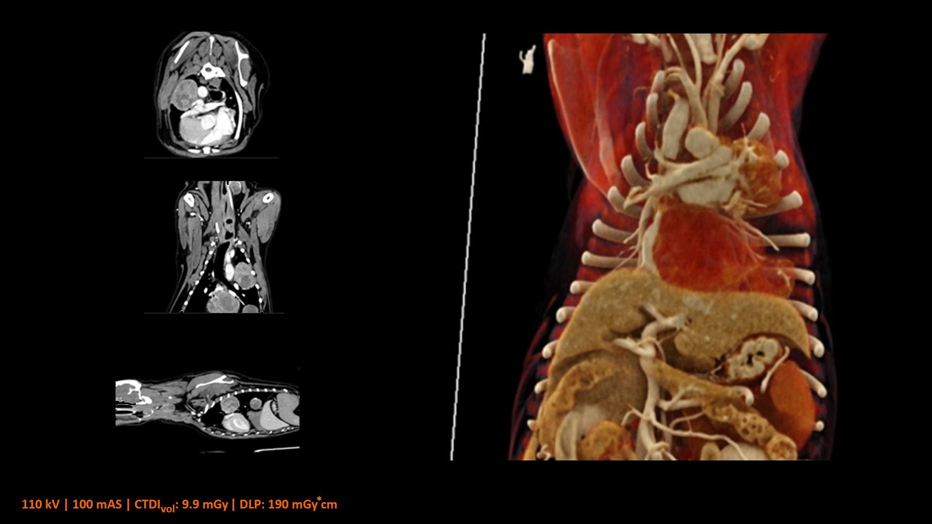 Leading the way in veterinary imaging - Siemens Healthineers USA