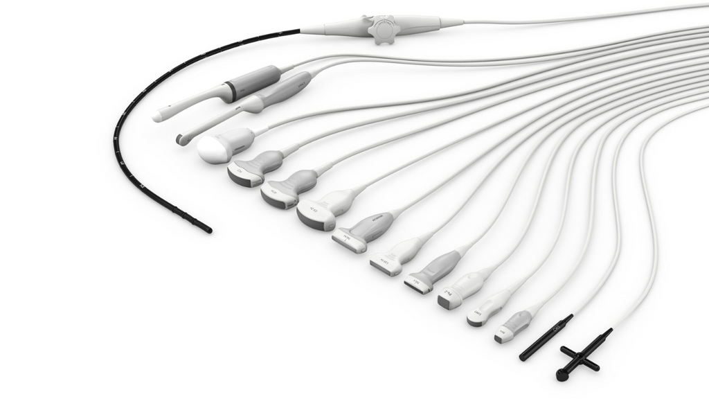 ACUSON Maple is a High-Performance Shared Service Ultrasound System ...