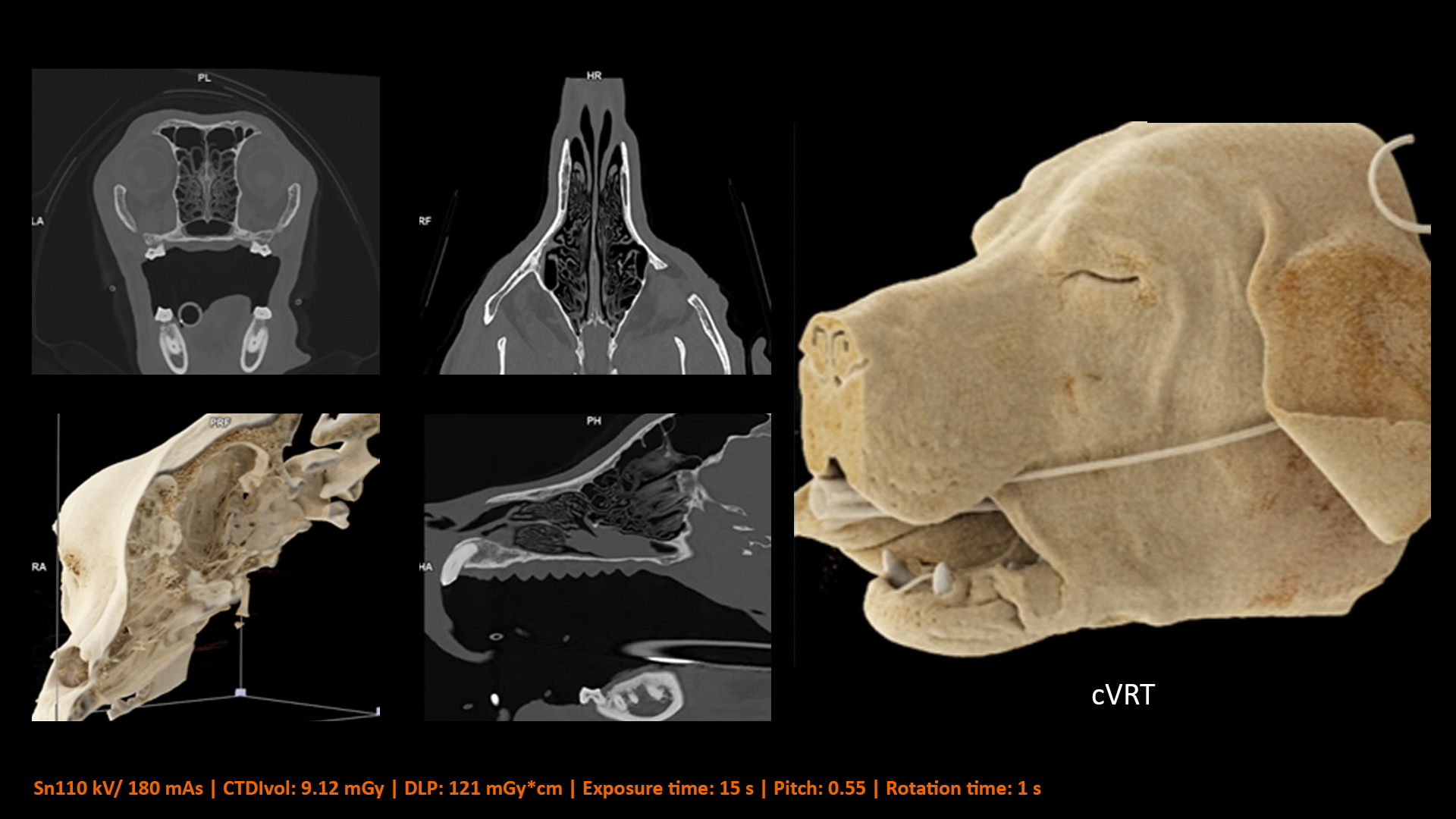Leading the way in veterinary imaging - Siemens Healthineers USA