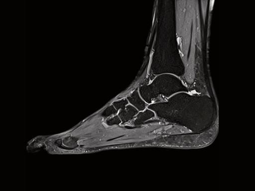 Image Gallery - Siemens Healthineers USA