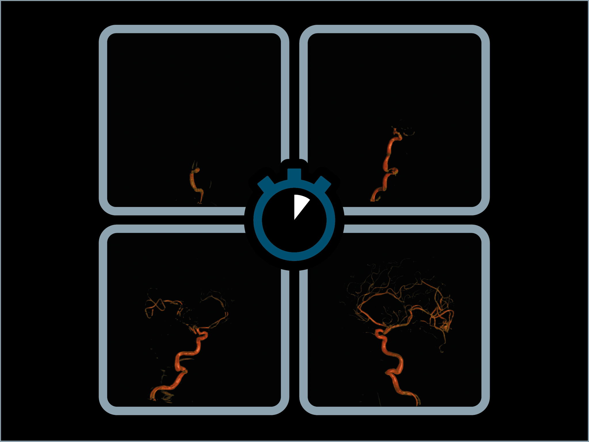 syngo Dyna4D - Siemens Healthineers USA