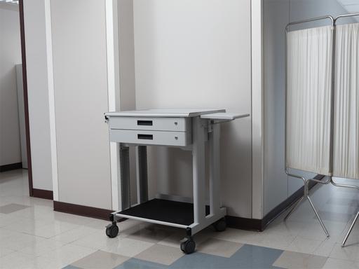 Stratus CS 200 Acute Cardiac Care Troponin Analyzer