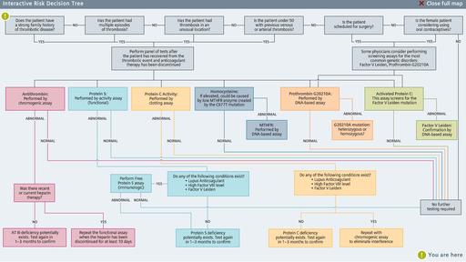 Interactive Thrombosis Risk Decision Tree