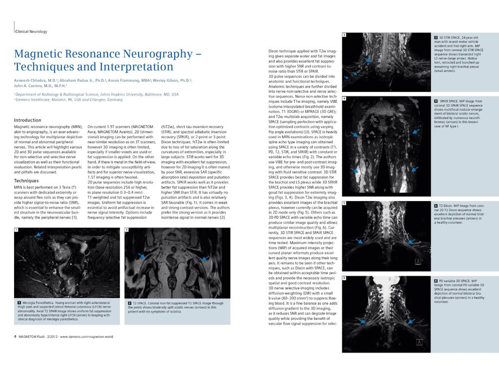Clinical article and talks on Neurography