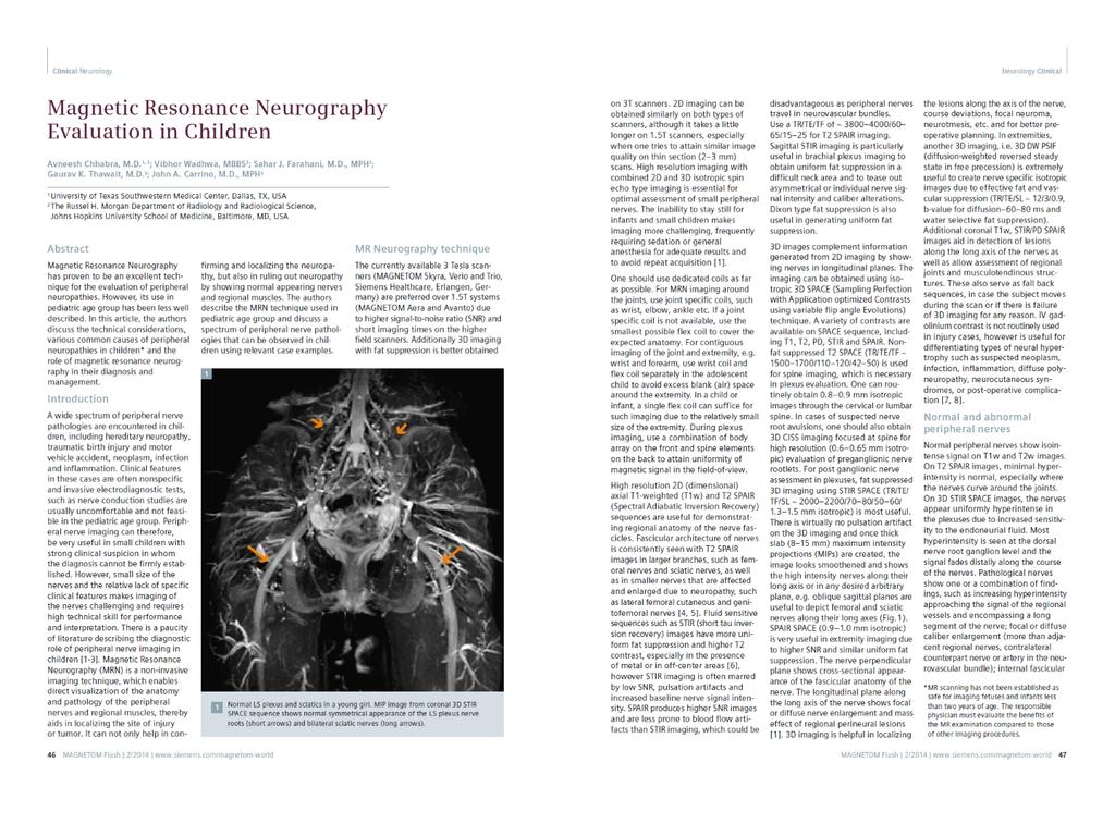 Clinical article and talks on Neurography
