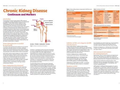 Kidney Disease - Siemens Healthineers USA