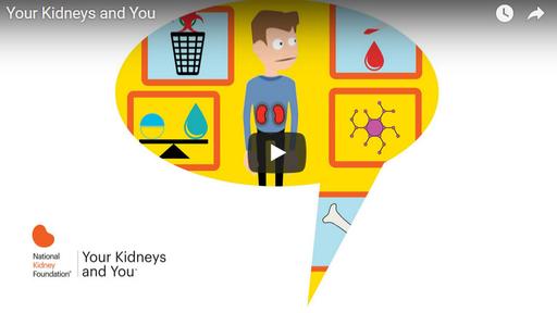 Albumin-to-Creatinine Ratio (ACR) Urine Testing Siemens Healthineers ...