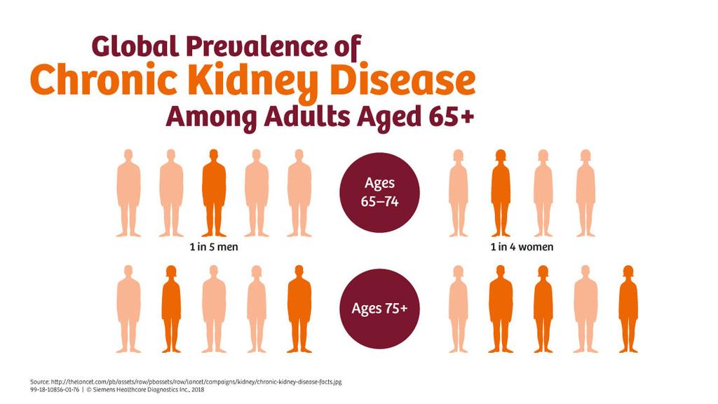 Chronic Kidney Disease: A Global Crisis