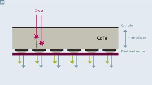 Photon-counting Detectors in Clinical Computed Tomography - Siemens ...