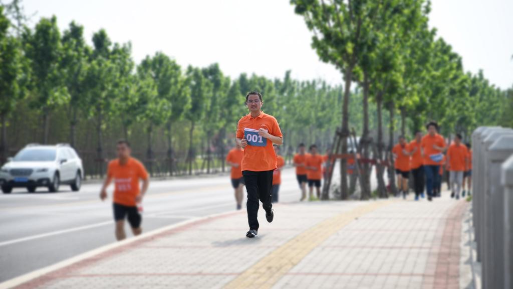 A Story about the Power of Curiosity