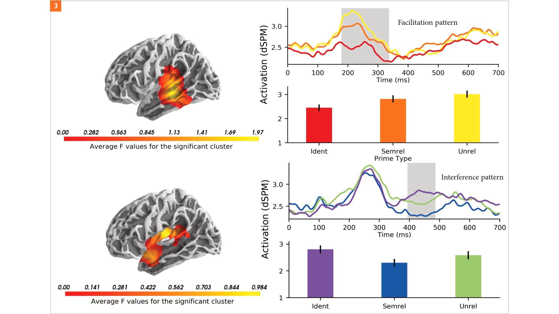 Integrating Multimodal Magnetic Resonance Imaging (MRI) and ...