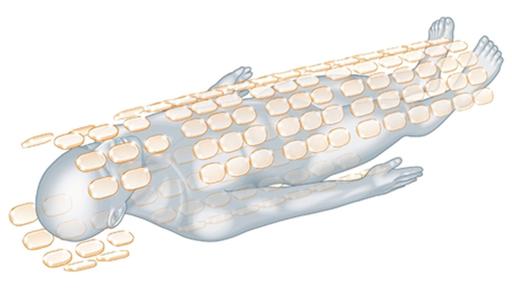 MAGNETOM Prisma - MRI Scanner - Siemens Healthineers