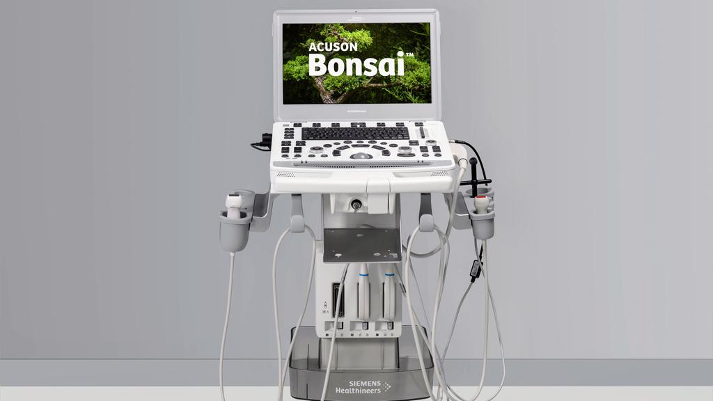 The 3 Core Benefits of Ultrasound Systems for Bedside Imaging - Siemens ...
