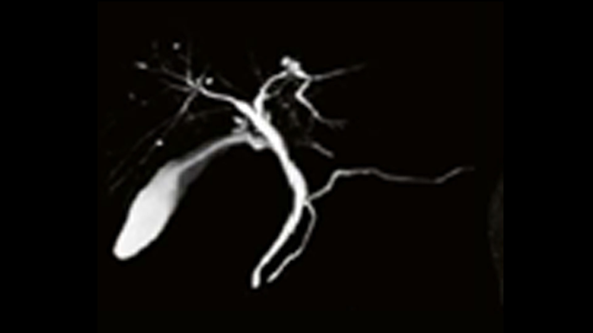 BioMatrix Technology - Siemens Healthineers