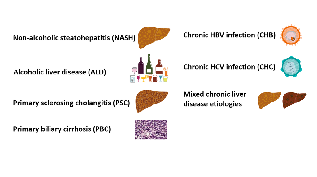Clinical Benefits of Enhanced Liver Fibrosis (ELF) Test