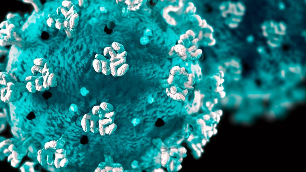 Test de Antígenos CLINITEST Rapid COVID-19 + Influenza Antigen Test ...