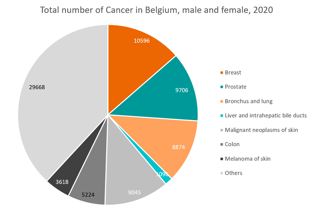 Comprehensive Cancer Care Pathway