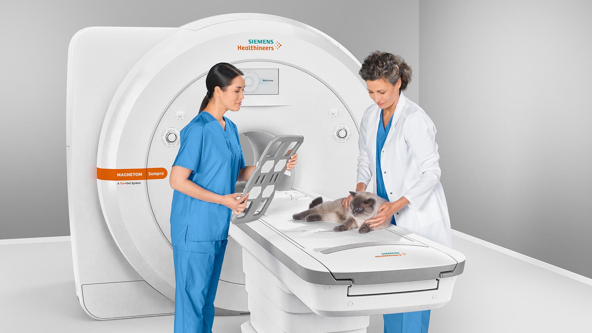 Veterinary in MRI - Siemens Healthineers