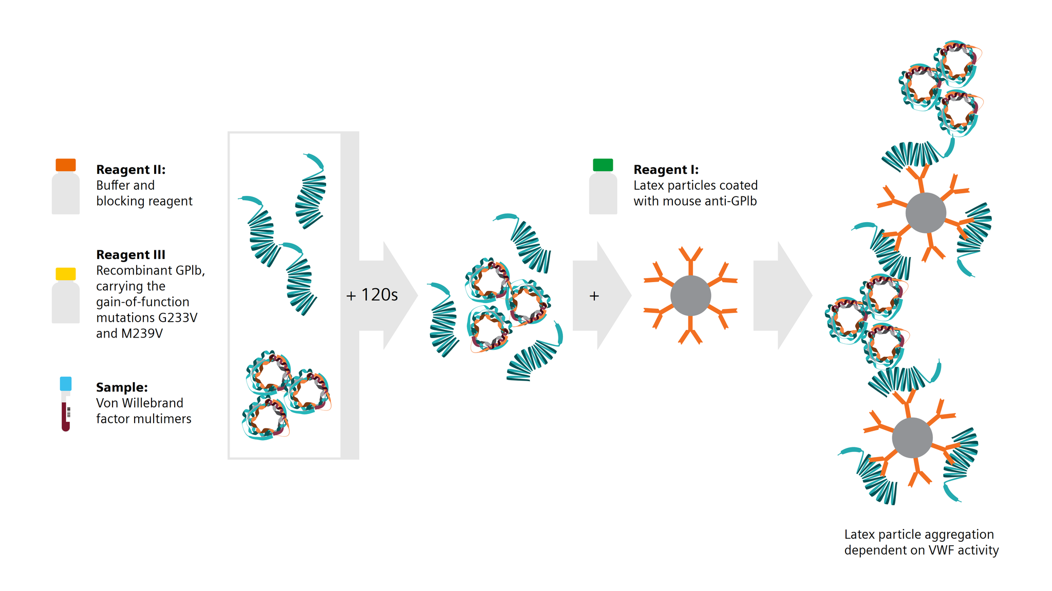 von Willebrand disease - Siemens Healthineers Schweiz