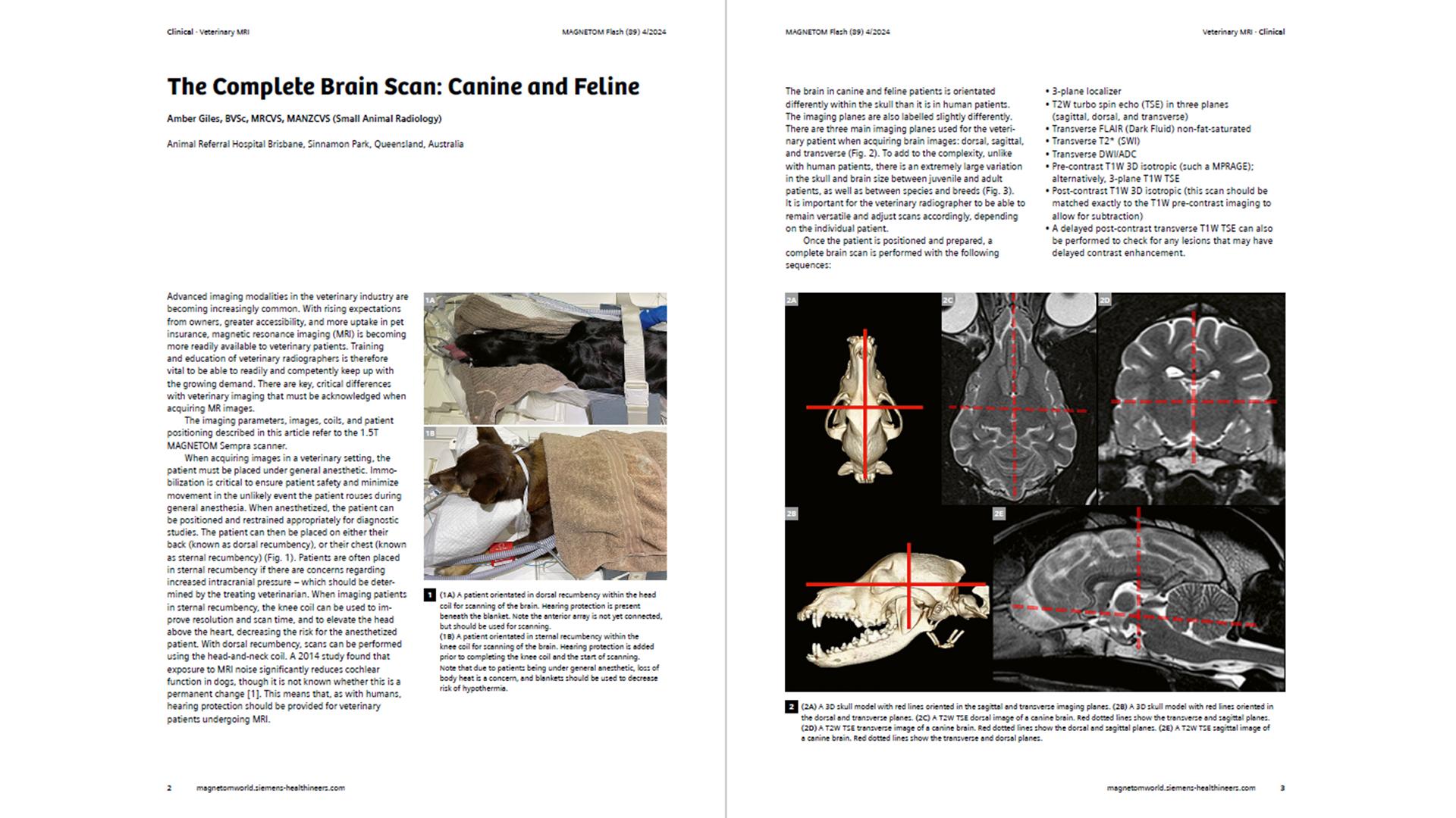 Veterinary in MRI - Siemens Healthineers