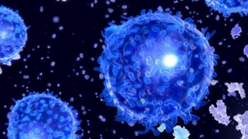 IMMULITE 2000 XPi System Inflammation Panel - Siemens Healthineers