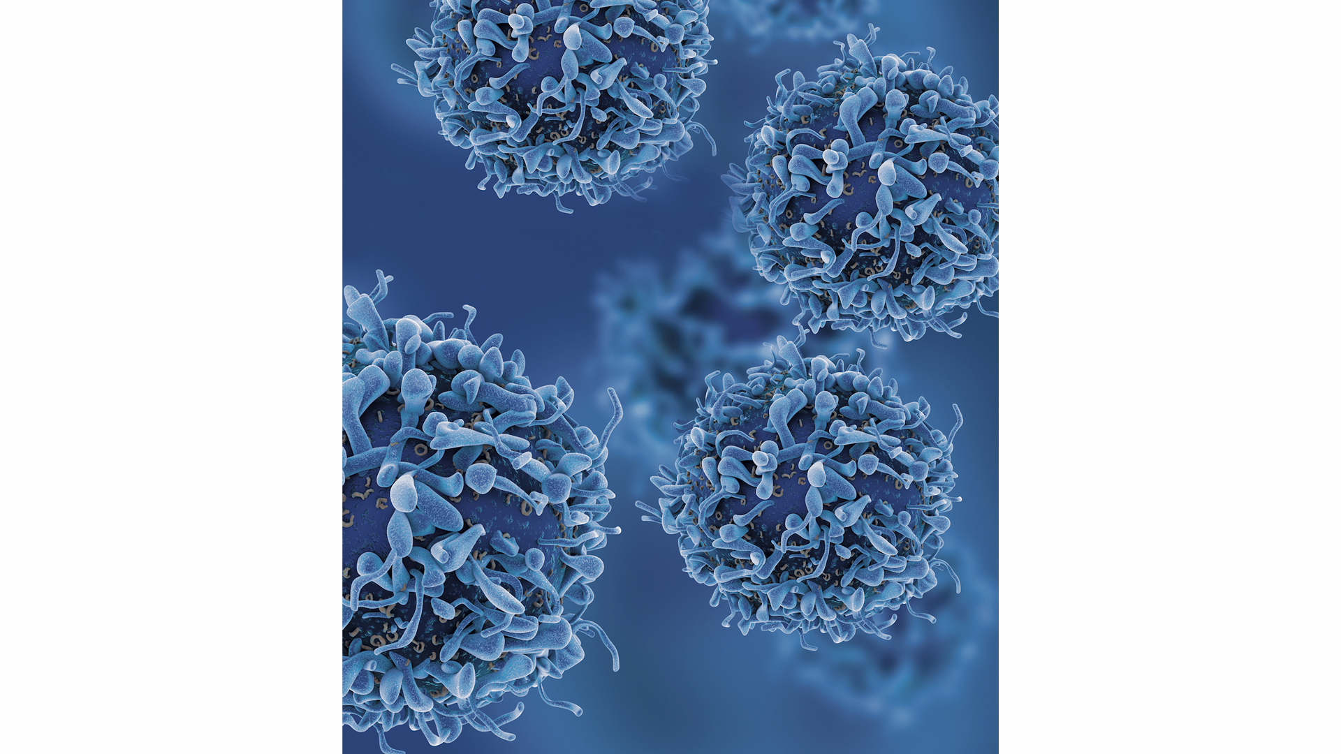 Fluoroestradiol F 18 – a molecular marker becomes commercially ...
