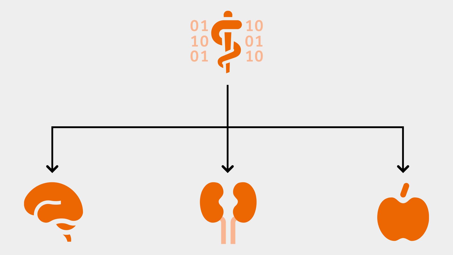 PROTIS IT. Software para soporte de decisiones clínicas - Siemens ...