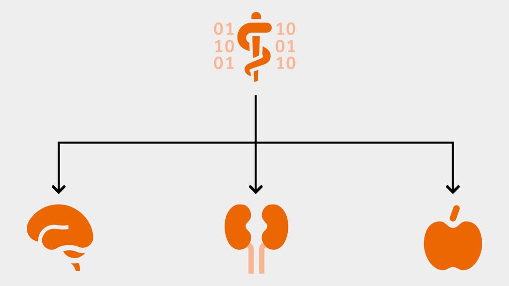 PROTIS IT Software Solution