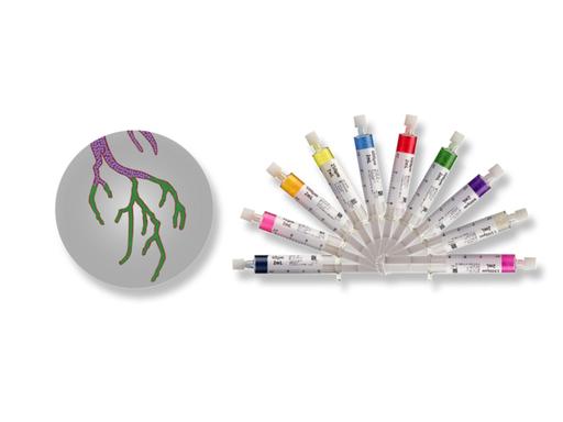 Expanding precision medicine in interventional radiology - Siemens ...