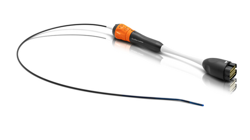 Intracardiac Echocardiography with AcuNav Ultrasound Catheters ...