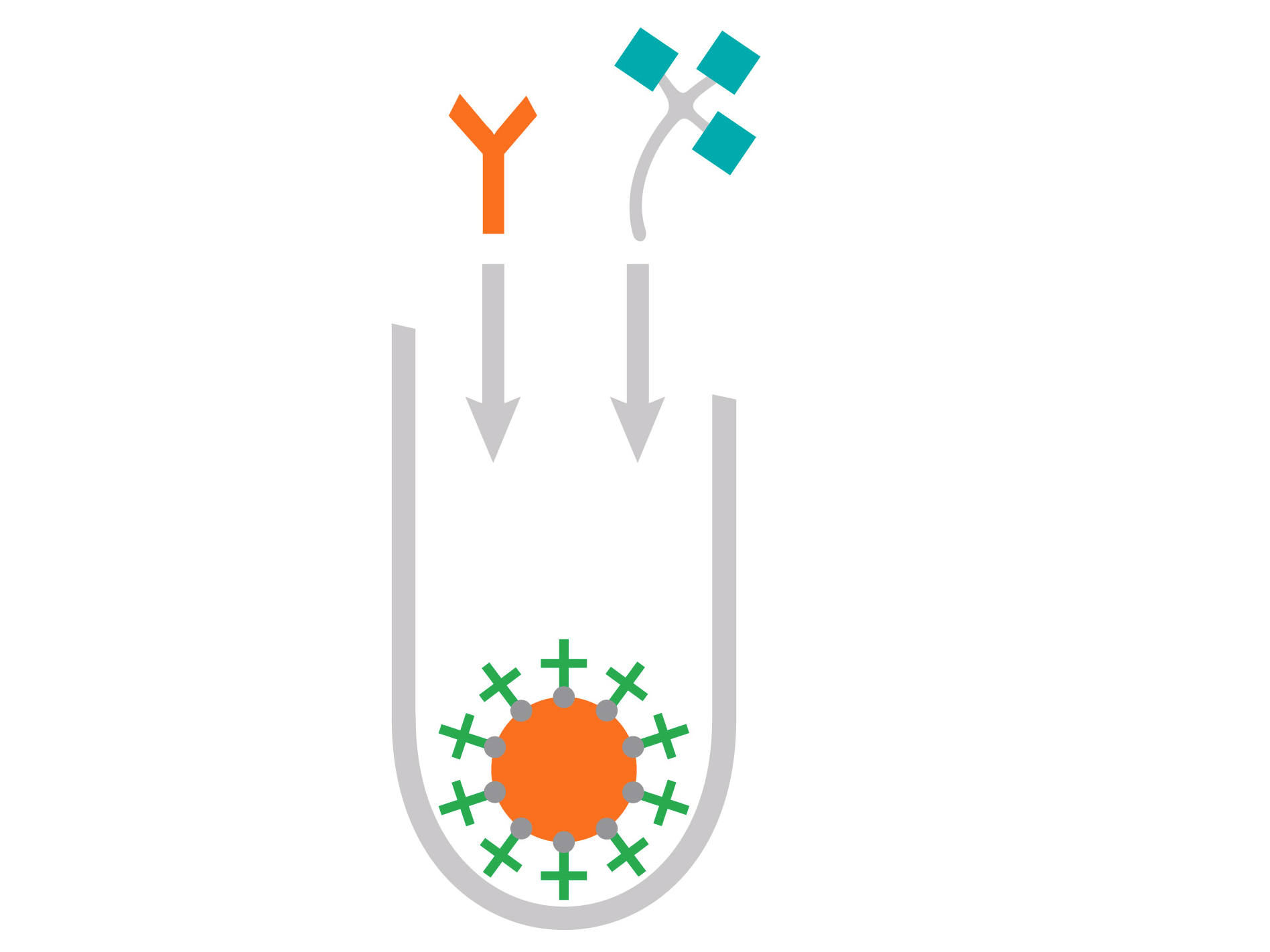 A simple blood test for specific allergens to diagnose allergies ...