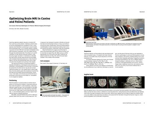 Canine and Feline MRI