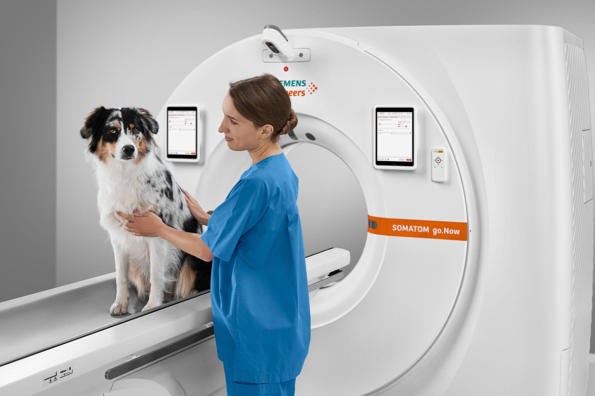 Introduction to Veterinary Scanning on the Go. Systems