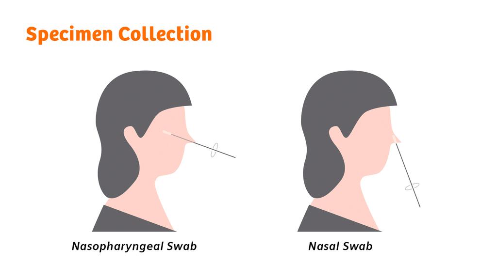 CLINITEST® Rapid COVID-19 Antigen Test