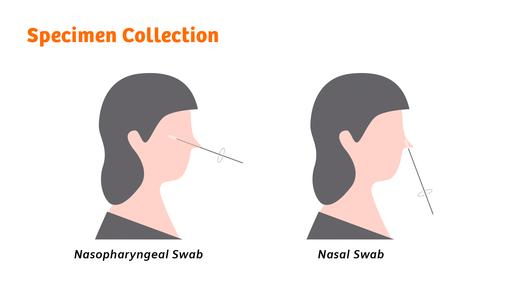 CLINITEST® Rapid COVID-19 Antigen Test
