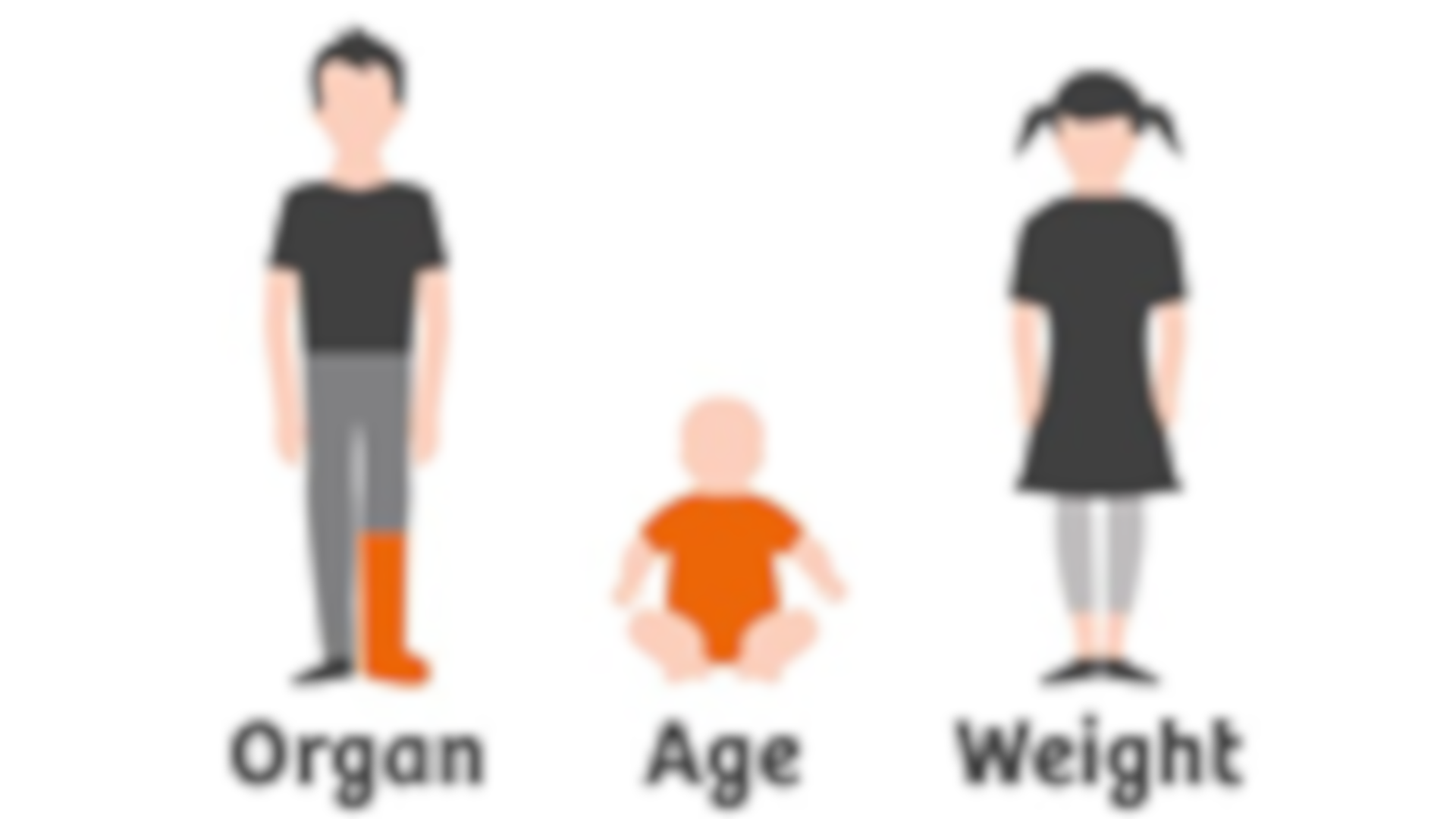 LUMINOS Lotus Max – Siemens Healthineers Deutschland