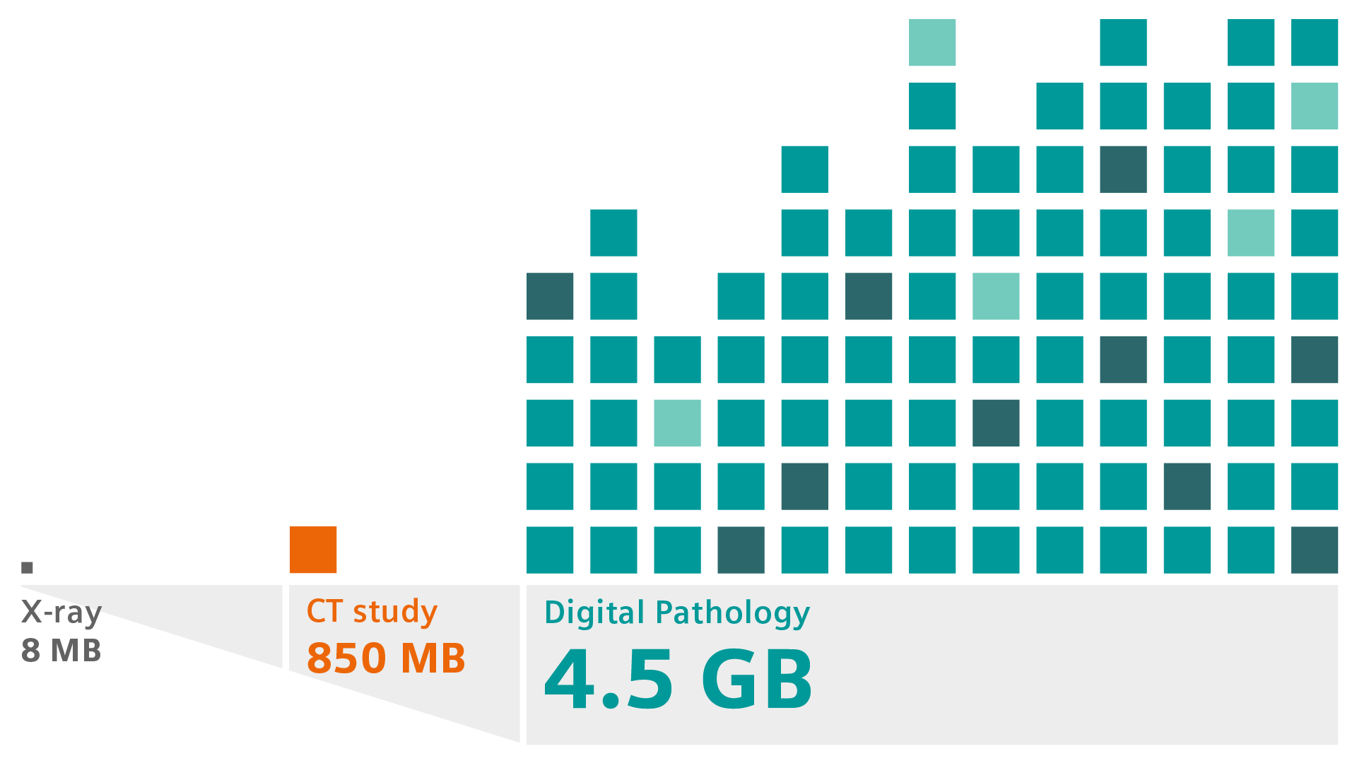 Digital Pathology and Syngo Carbon