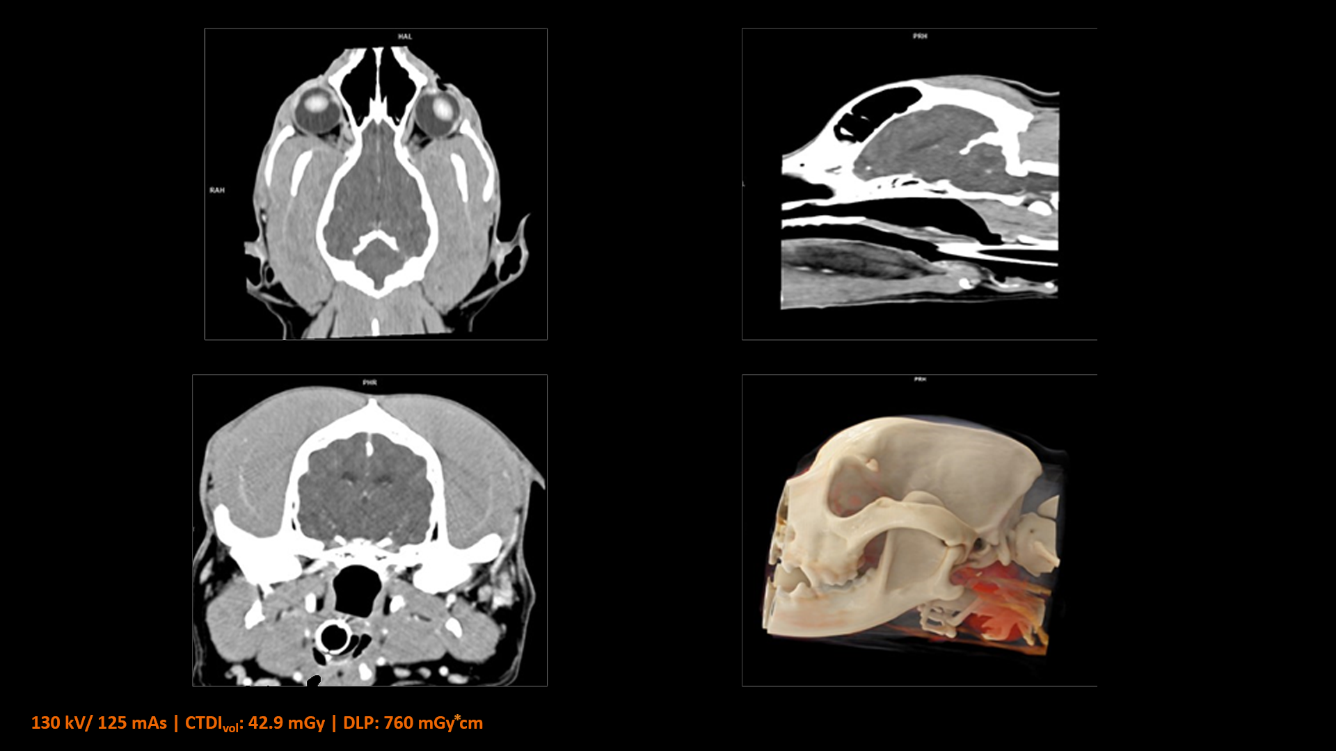 Leading the way in veterinary imaging - Siemens Healthineers USA