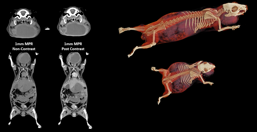 Veterinary Solutions