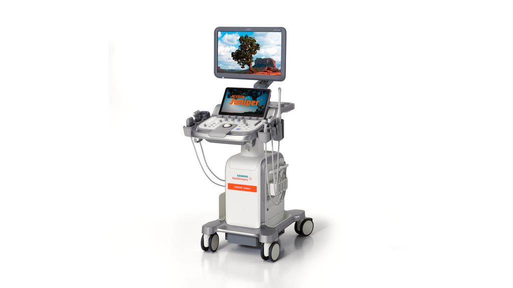 Pancreatic Multi-Parametric Ultrasound in High Volume Cancer Center ...