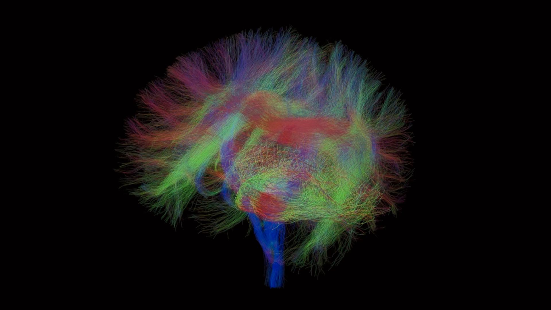 MAGNETOM Cima.X - Make the difference. - Siemens Healthineers