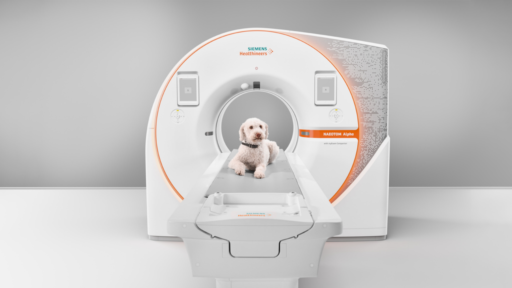 Leading the way in veterinary imaging - Siemens Healthineers USA