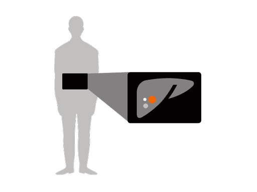 ELF Testing Service - Siemens Healthineers USA