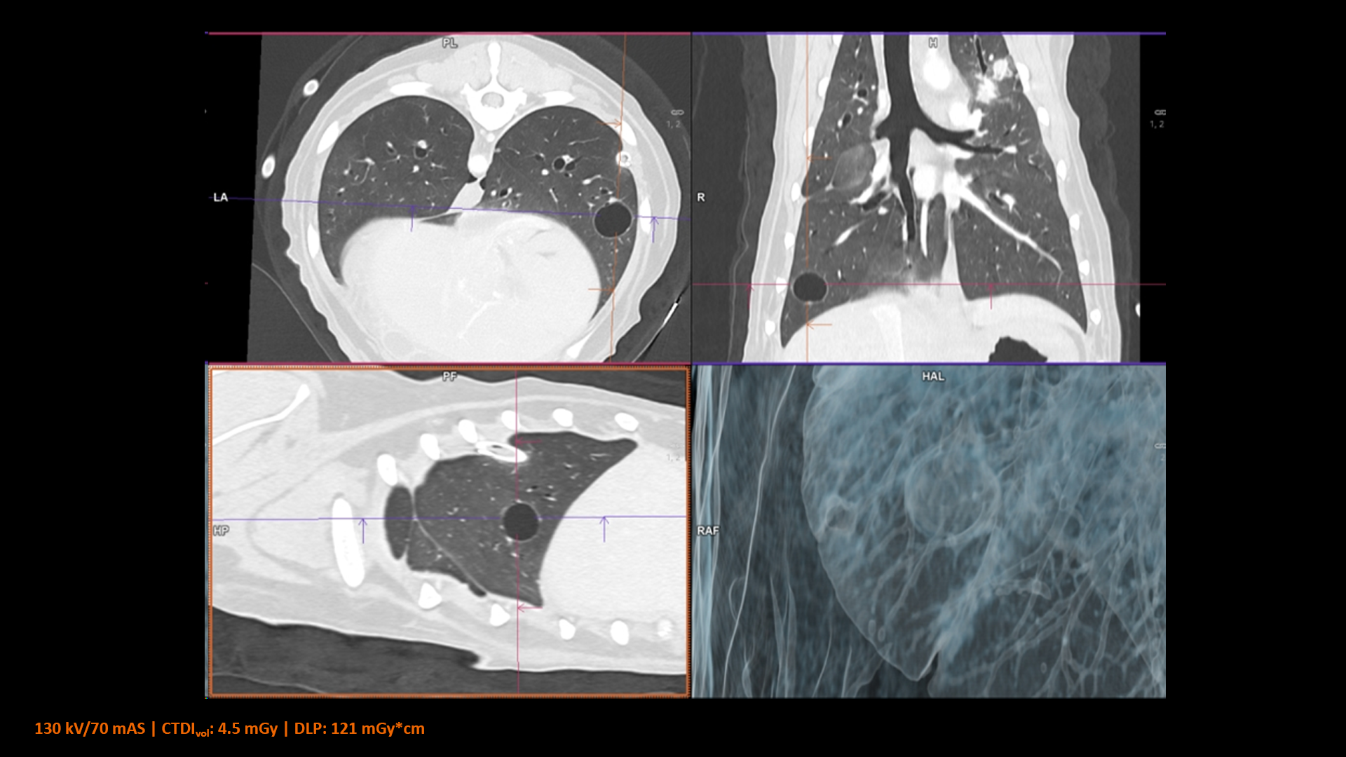Leading the way in veterinary imaging - Siemens Healthineers USA