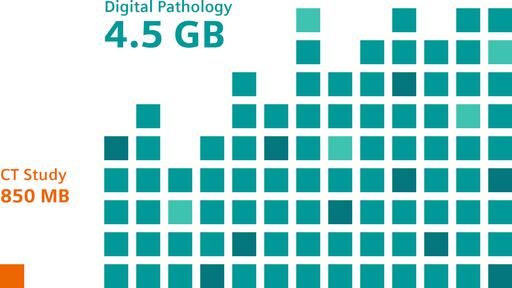 Digital Pathology and Syngo Carbon - Siemens Healthineers
