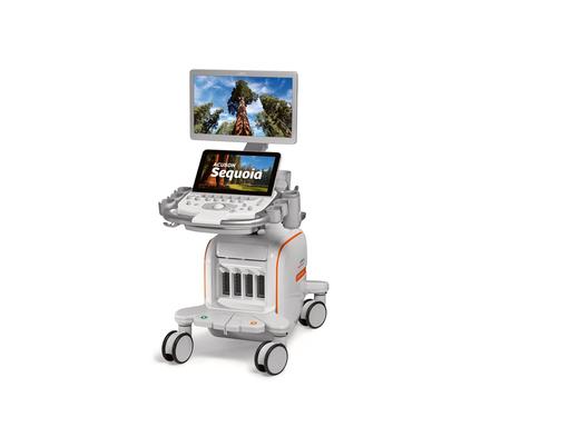 Milestones in Ultrasound Diagnostics - Siemens Healthineers USA