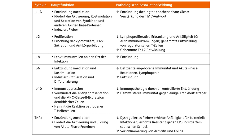 IMMULITE 2000 XPi System: Entzündungsmarker-Panel – Siemens ...
